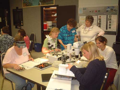 SERTC: Echinoderm Workshop